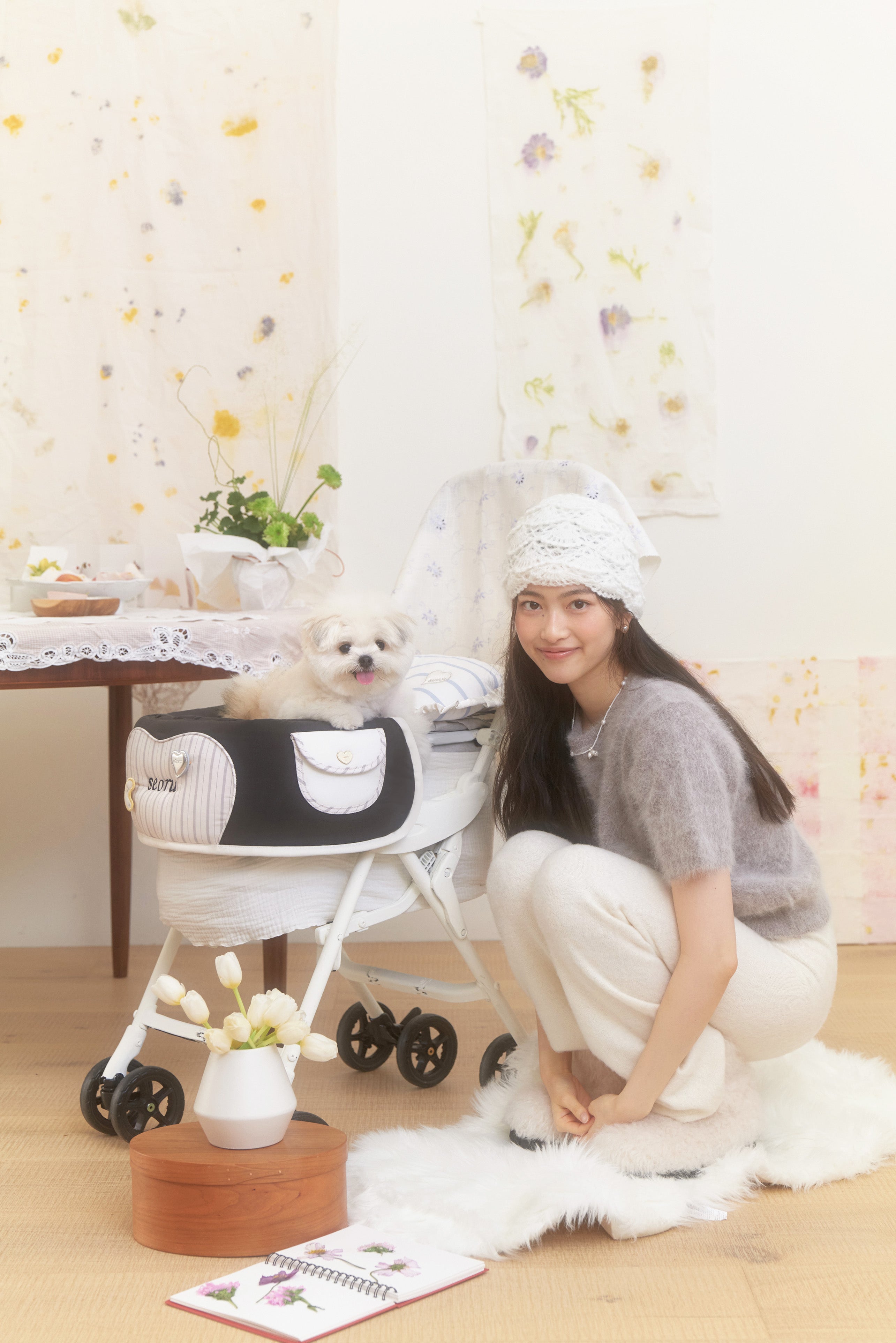 Pet Stroller – Seoru Japan